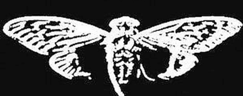 Cicada 3301 - Connor Tumbleson